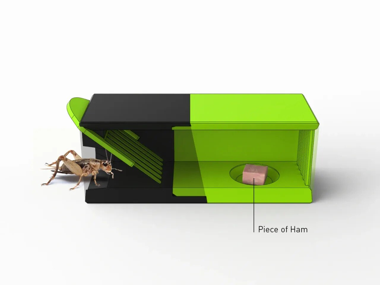 Reptile Cricket Trap / Keeper, Insect Trap, Chameleon, Bearded Dragon ...