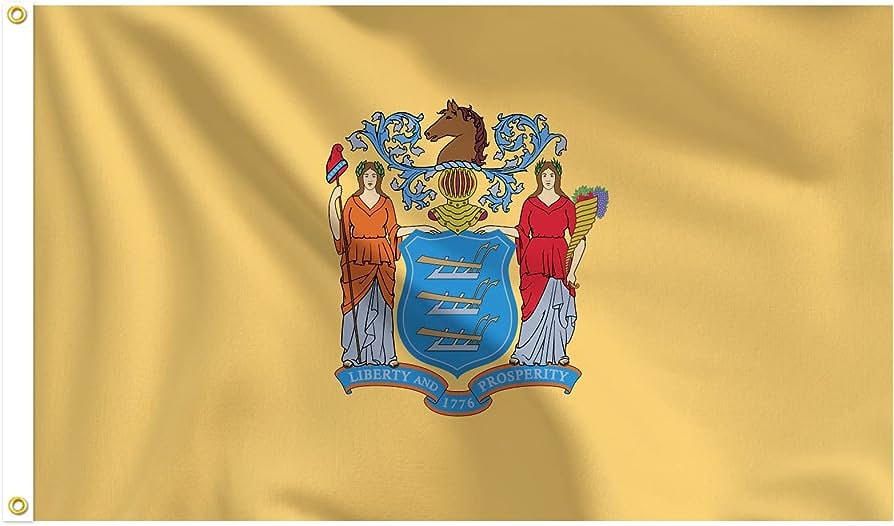 New Jersey State Flag 3'x5' Flag New Jersey State - Etsy