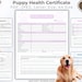 Printable Puppy Health Certificate, Dog Health Certificate, Pet Health ...
