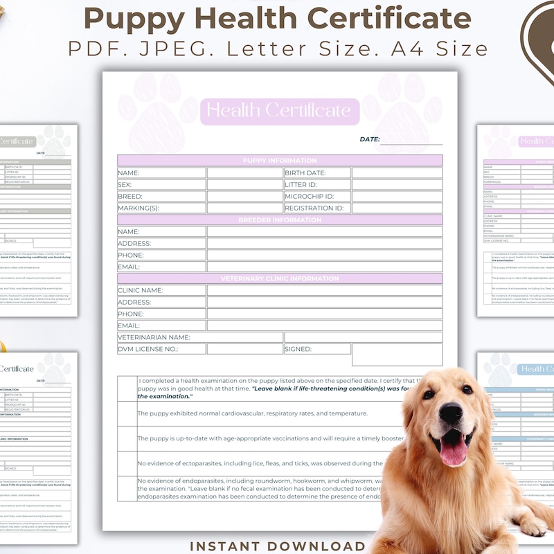 Dog Travel Certificate - Etsy UK