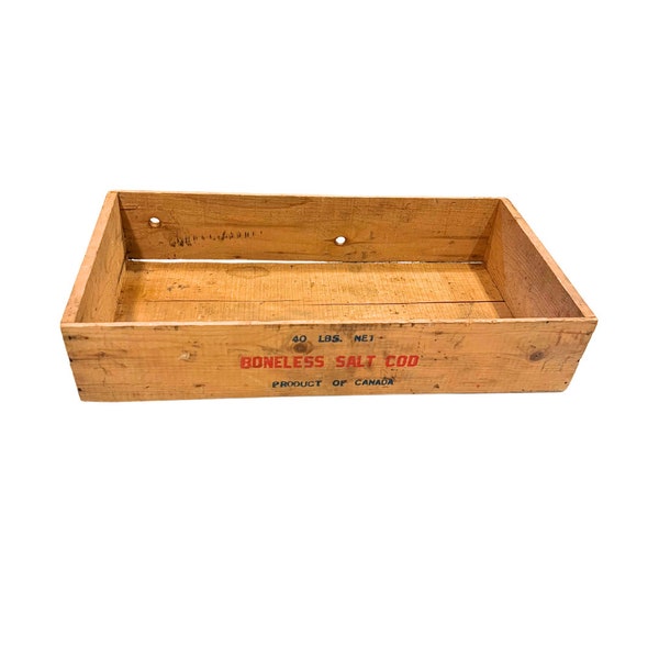 Live Fish Mystery Box Etsy