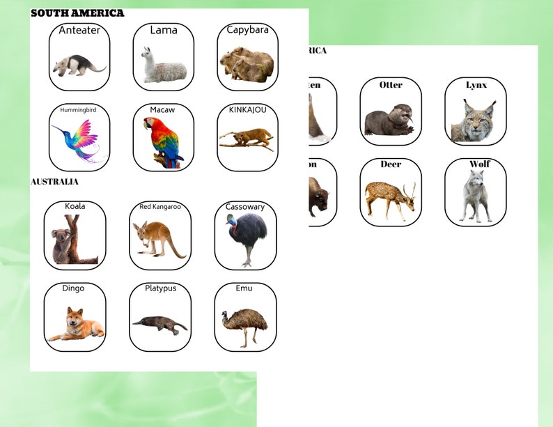 Discover Animals From Around the World: Educational Continent and ...