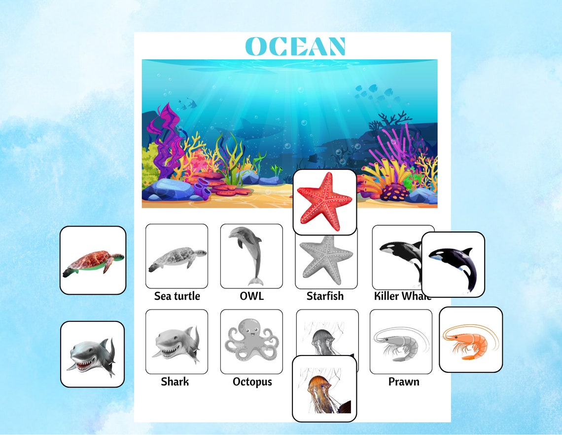 Animal Habitat Activity Habitat Match Realistic Animal Activity ...