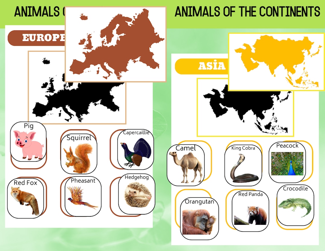 Discover Animals From Around the World: Educational Continent and ...