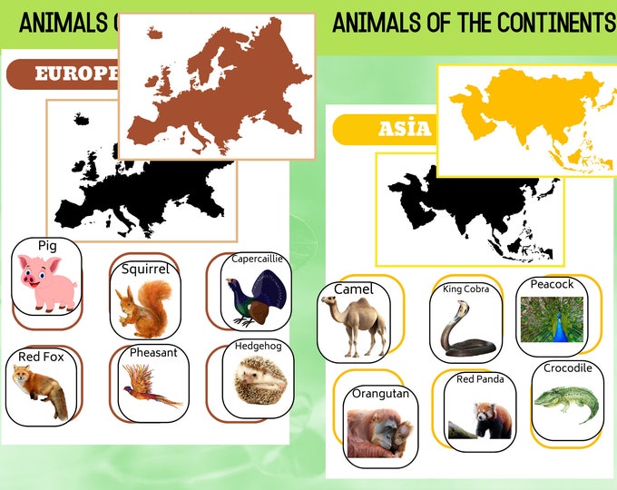 Animals of the Continents Coloring Pages (montessori Preschool ...