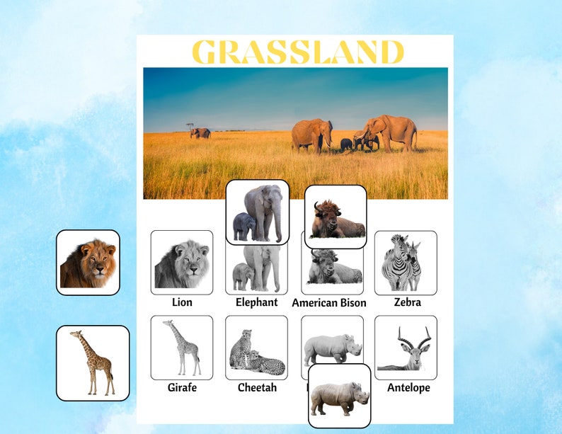 Animal Habitat Activity | Habitat Match | Realistic Animal Activity ...