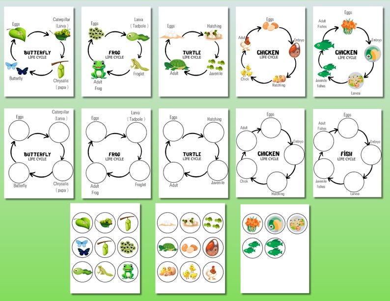 Farm Busy Book,toddler Farm Activities,farm Animal Matching,montessori ...