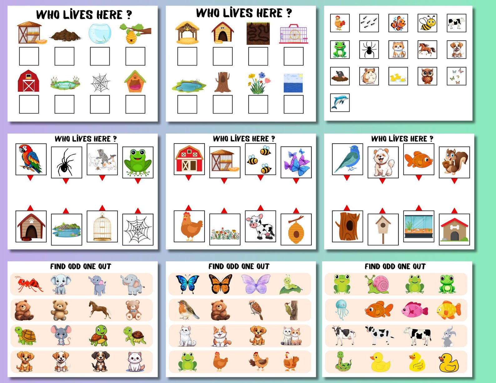 Animals and Homes Matching Activity, Who Lives Here Associations ...