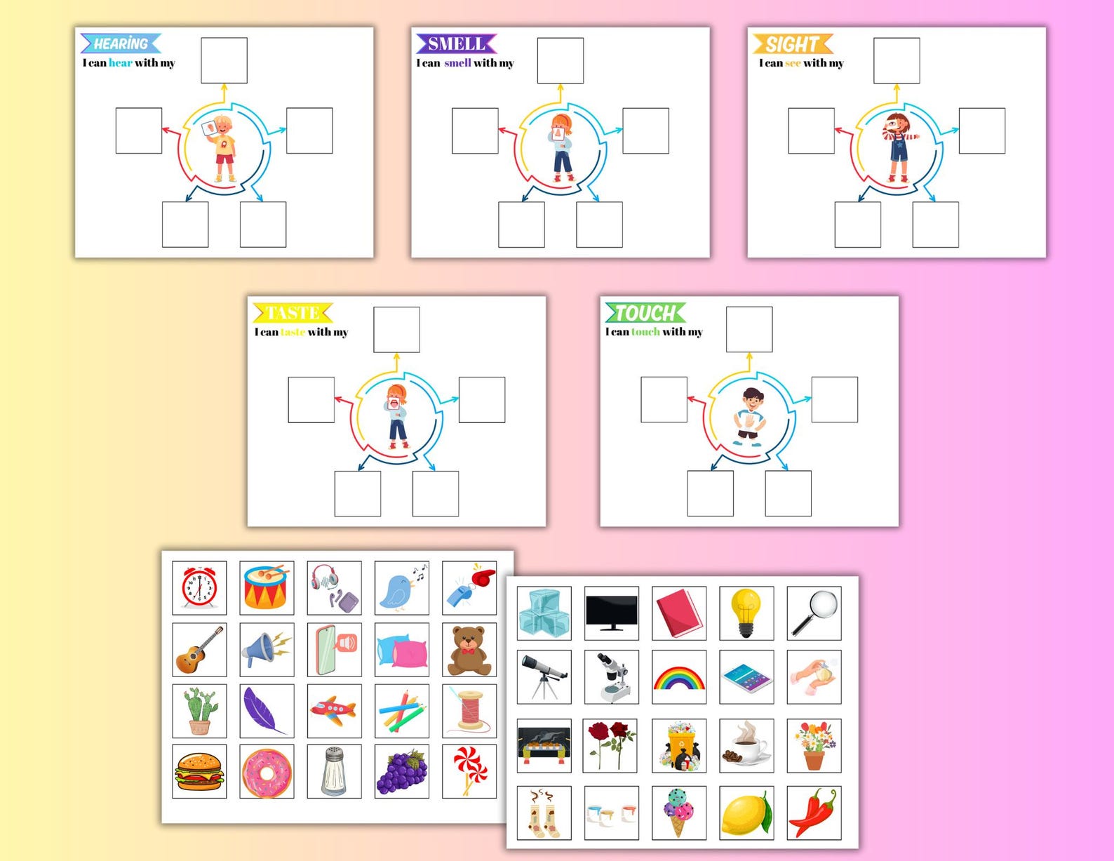 Five Senses Activity, Five Senses Sorting Activity,sensory Play for ...