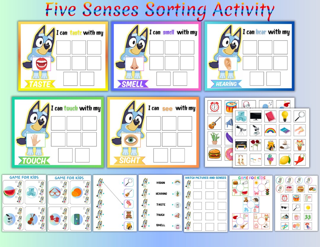 Five Senses Sorting Activity Printable,bluey Busy Book,5 Senses Sorting ...