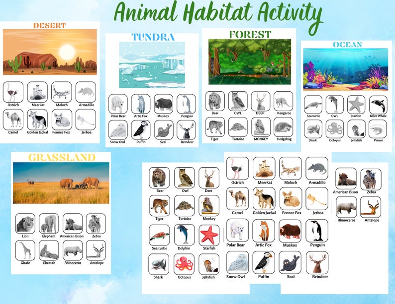 Animal Habitat Activity | Habitat Match | Realistic Animal Activity ...