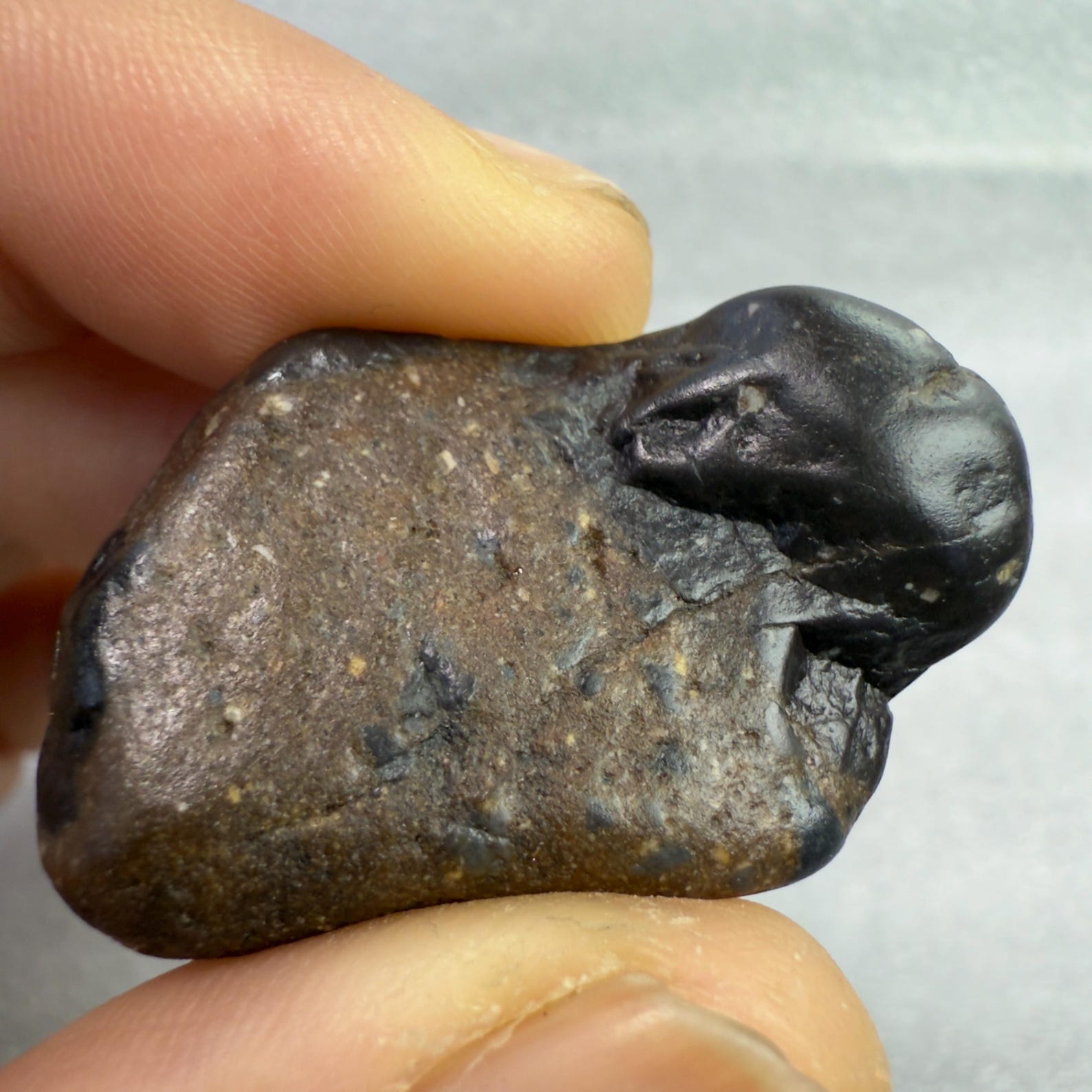 Native American Sheep Effigy Stone Art: Pima, AZ Artifact - Etsy