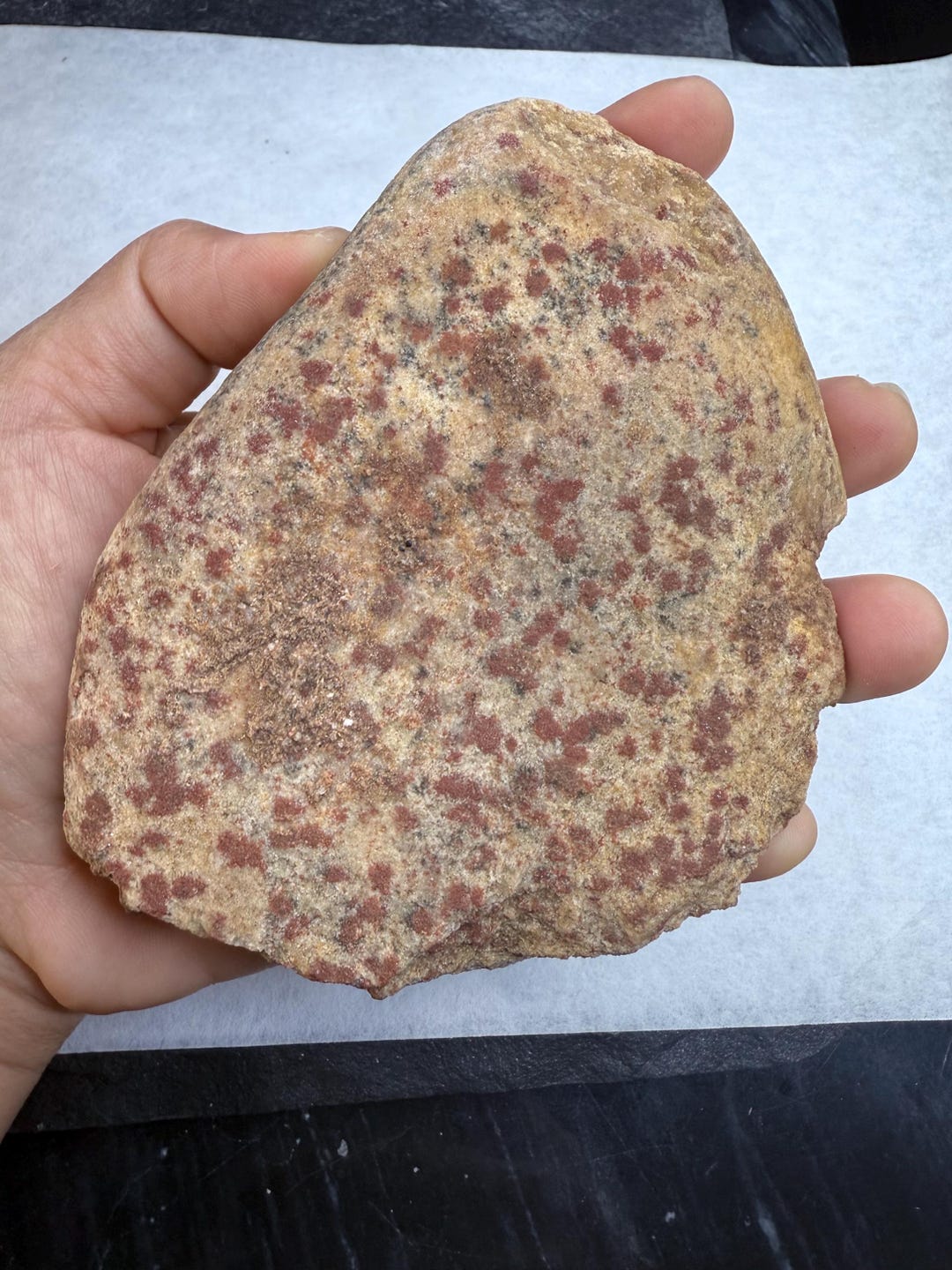 Quartzite Rock Specimen – Iron Oxide Inclusions, Pima County AZ - Etsy