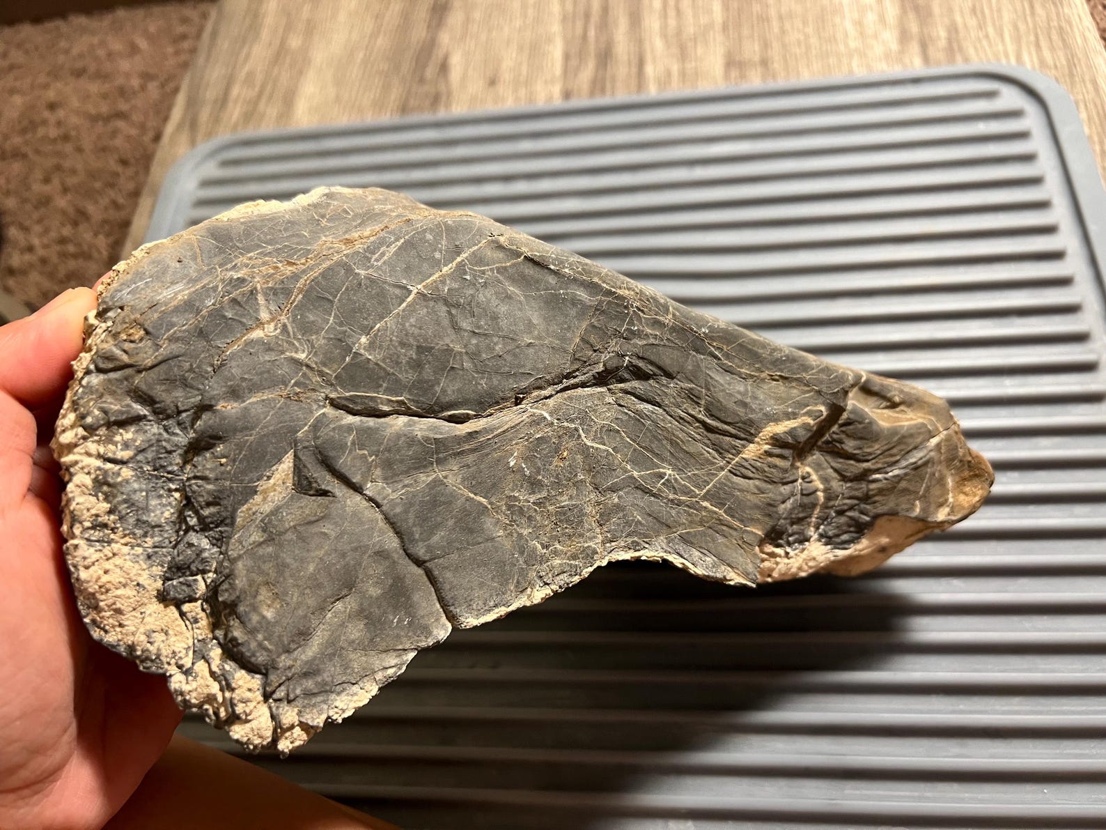 Large Basaltic Rock - Pima County, AZ Collector's Specimen - Etsy