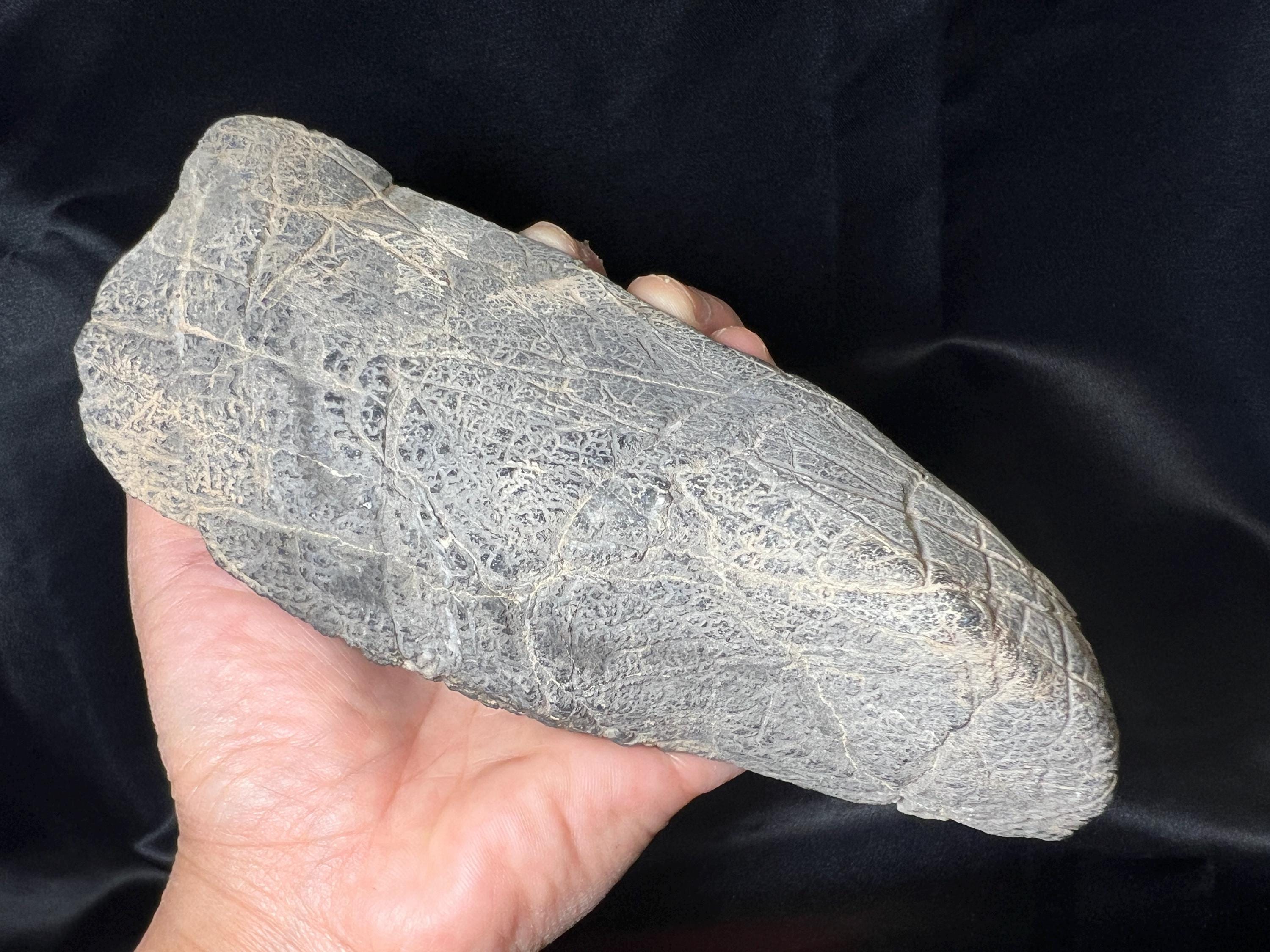 Native American Stone Tool: Ancient Hand Axe Artifact - Etsy
