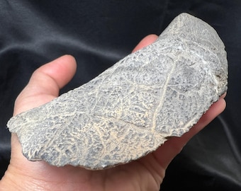 Native Indian Stone Tool | Indian Ancient Hand Tool | Native Indian ...