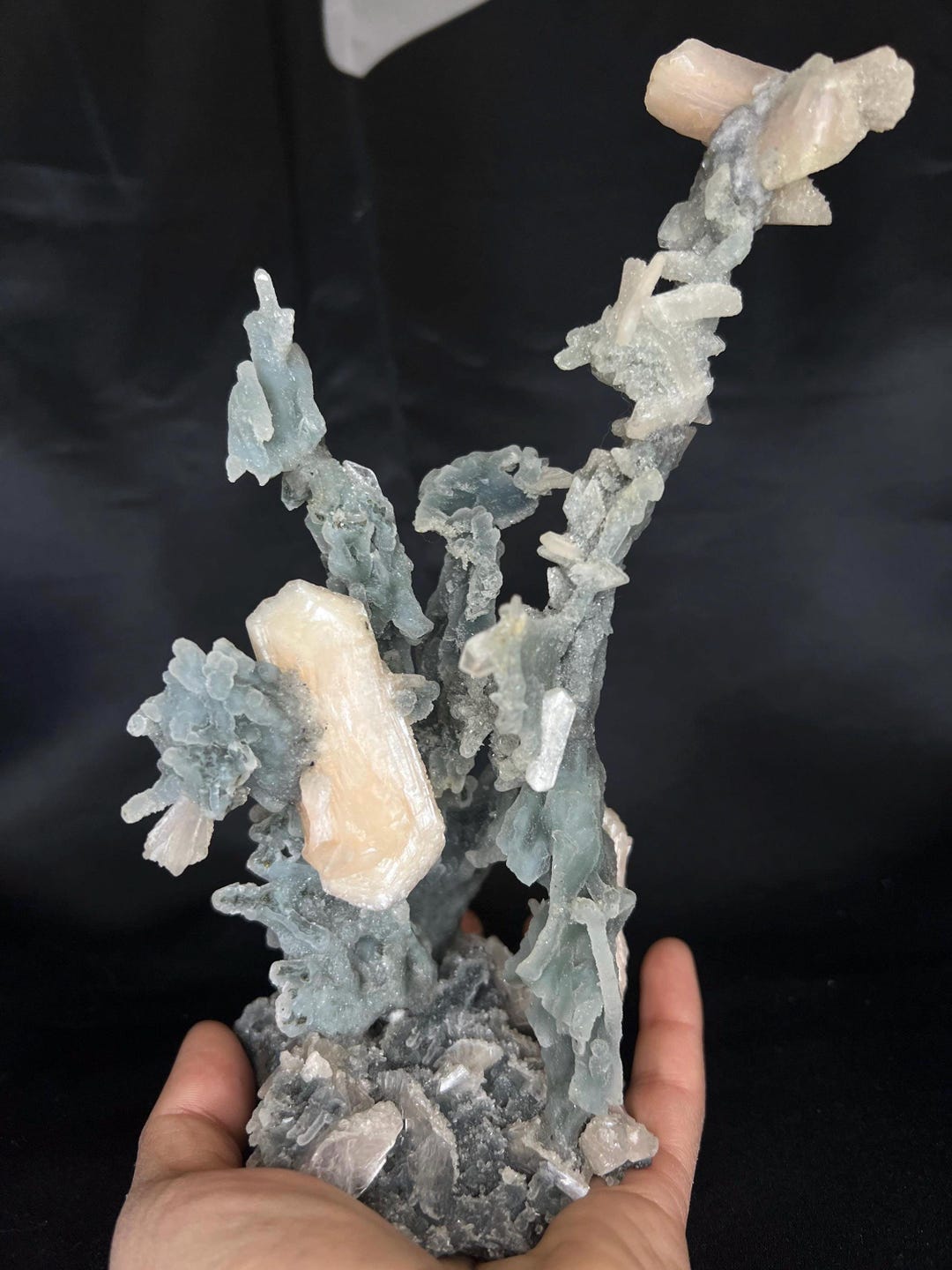High Grade Fine Apophyllite, and Pink Stilbite, Grown Around a Blue ...