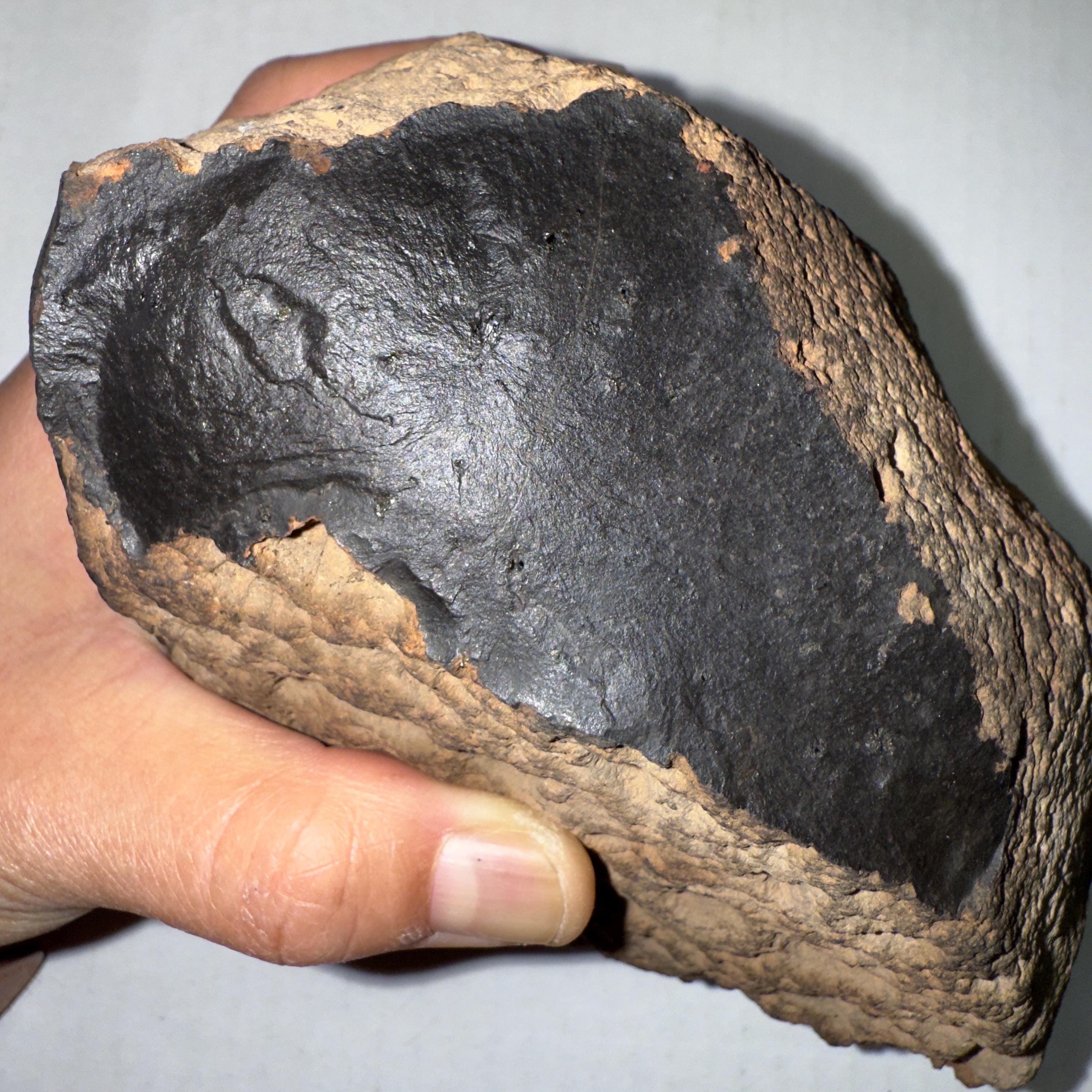 Natural Flint Nodule: Microcrystalline Quartz, Tucson AZ Find - Etsy