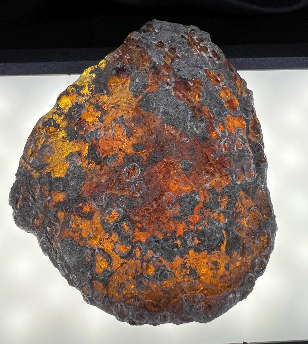 Large Raw Amber From Chiapas, Mexico | Ancient Natural Amber | UV Light ...