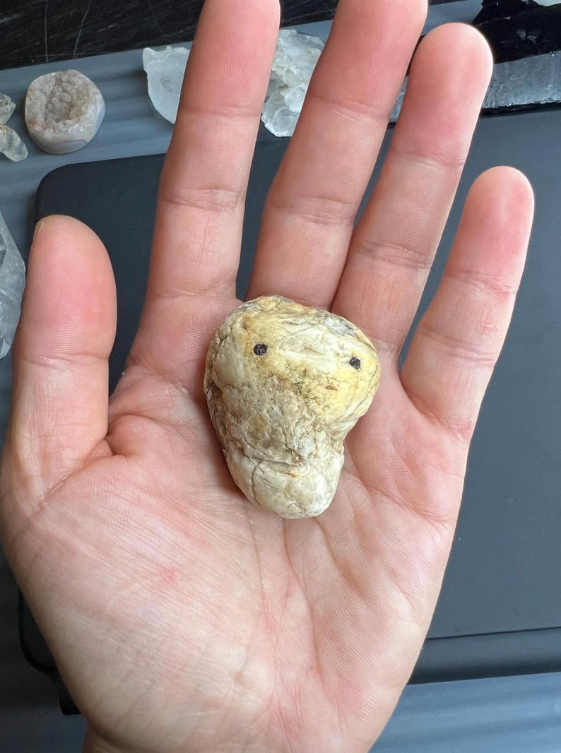 Native Indian Effigy Stone With Red Garnet Eyes – 40.8g – 2.5” – Tucson ...