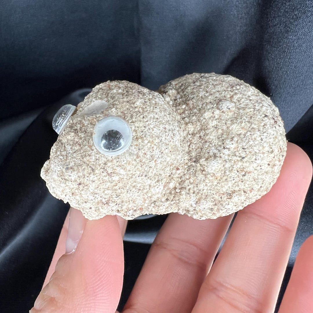 Odd Shape Concretion Spirit Stone With Googly Eyes Adorable Concretion ...