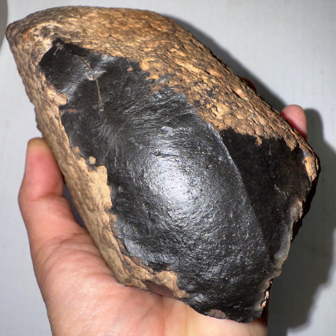 Natural Flint Nodule: Microcrystalline Quartz, Tucson AZ Find - Etsy