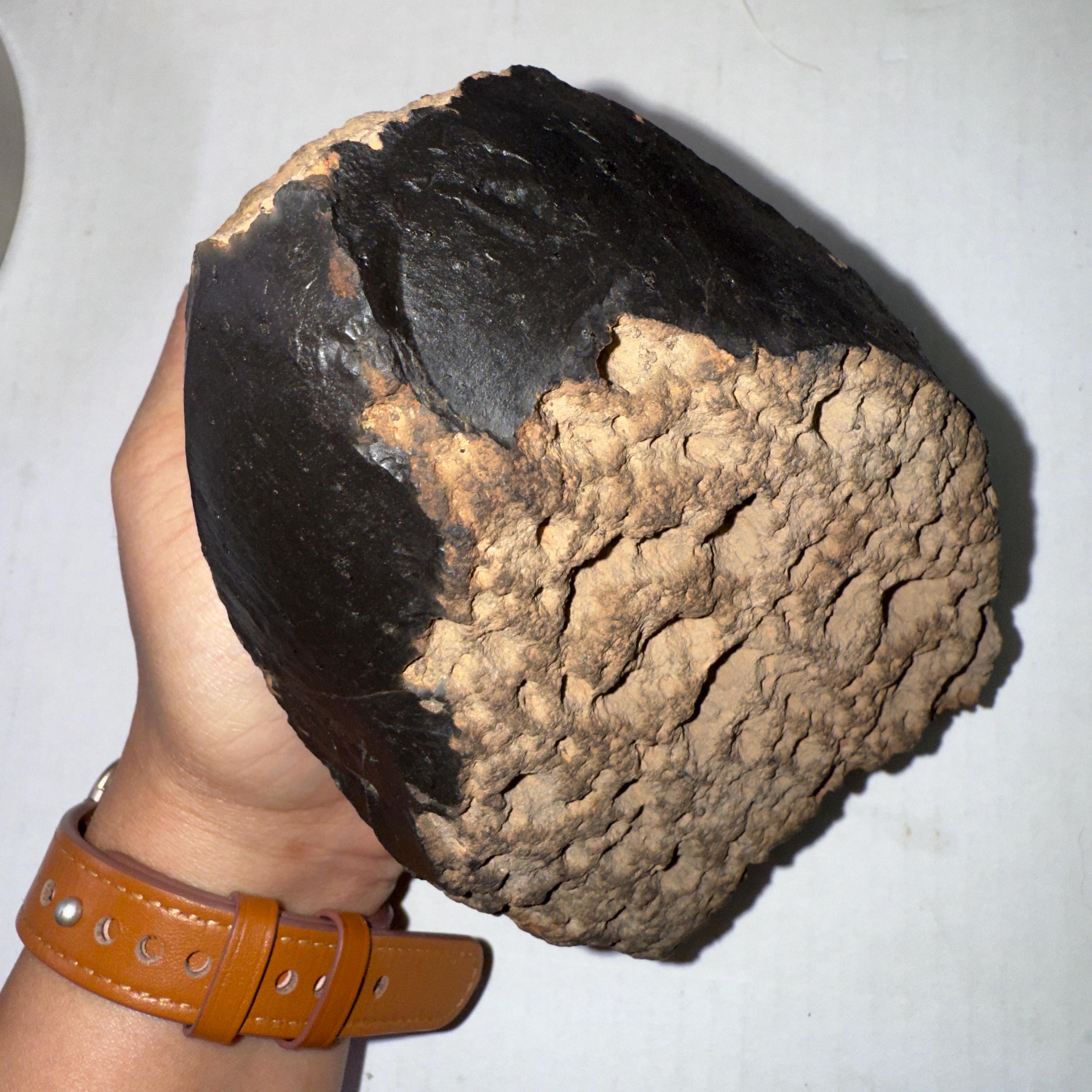 Natural Flint Nodule: Microcrystalline Quartz, Tucson AZ Find - Etsy