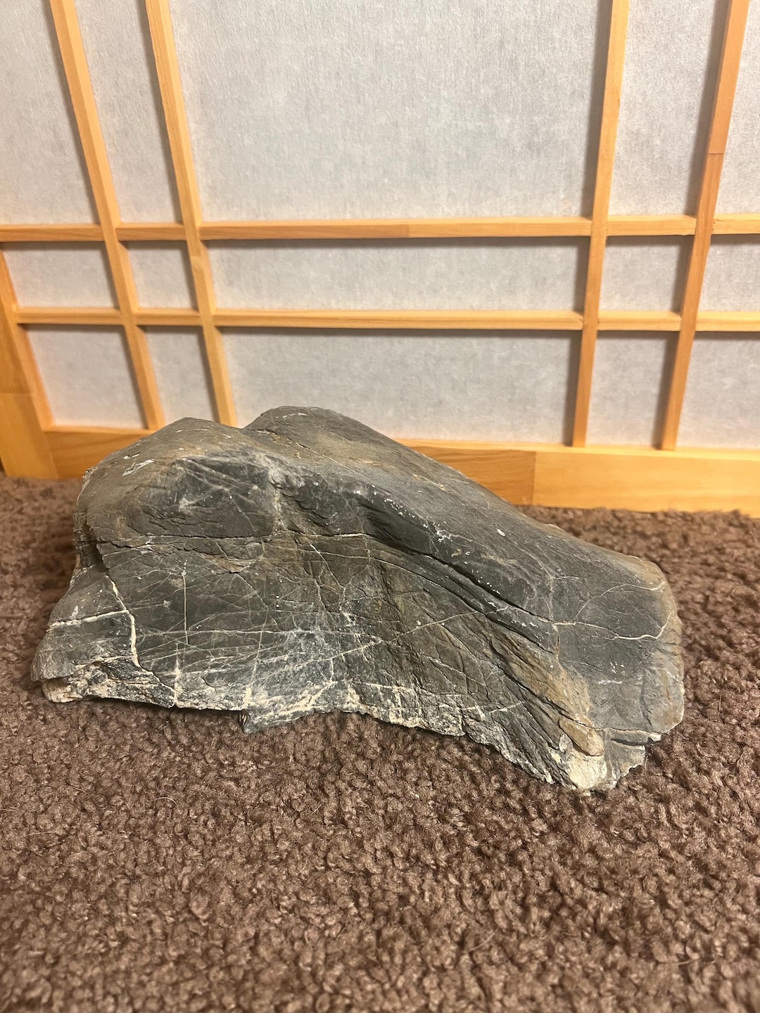 Very Cool Large Basaltic Decorative Rock – Collected in Pima County, AZ ...