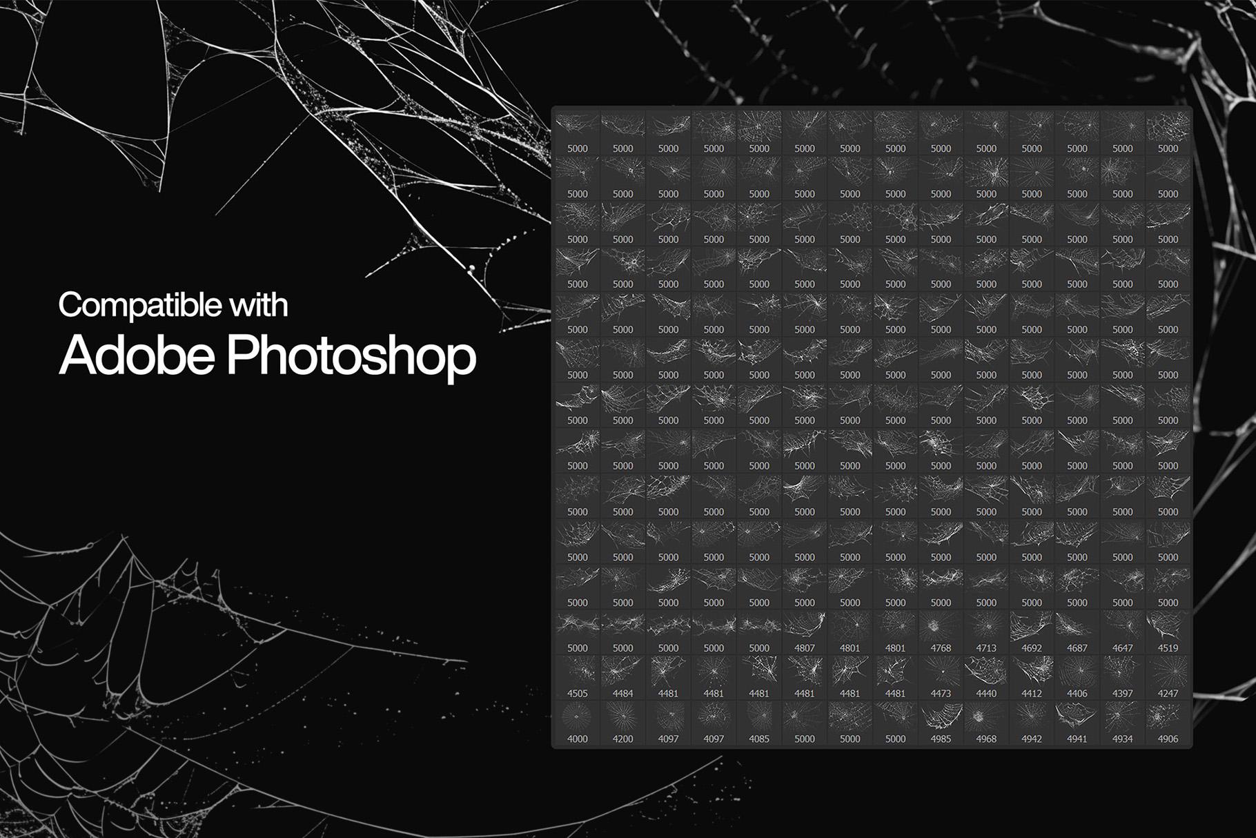 200 Spider Web Photoshop Brushes: Realistic Cobweb Brush Bundle - Etsy