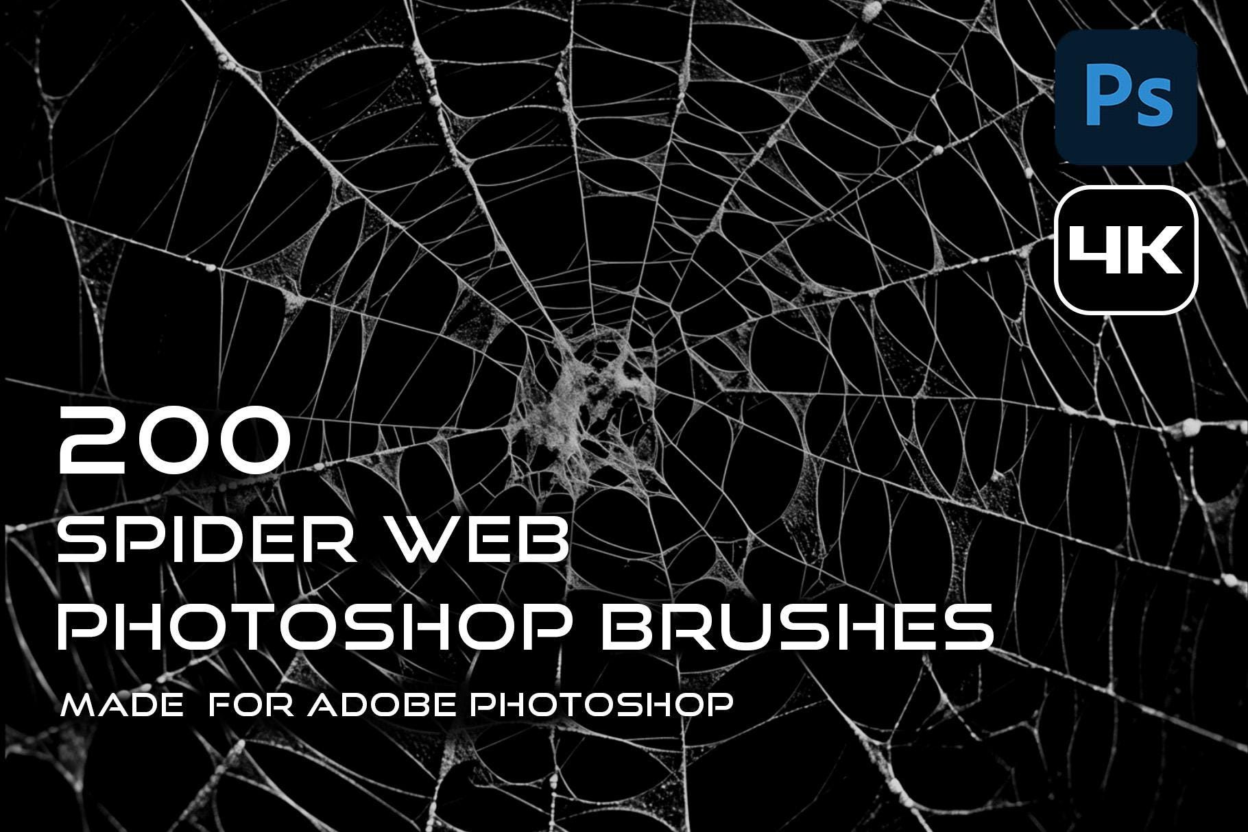 200 Spider Web Photoshop Brushes: Realistic Cobweb Brush Bundle - Etsy
