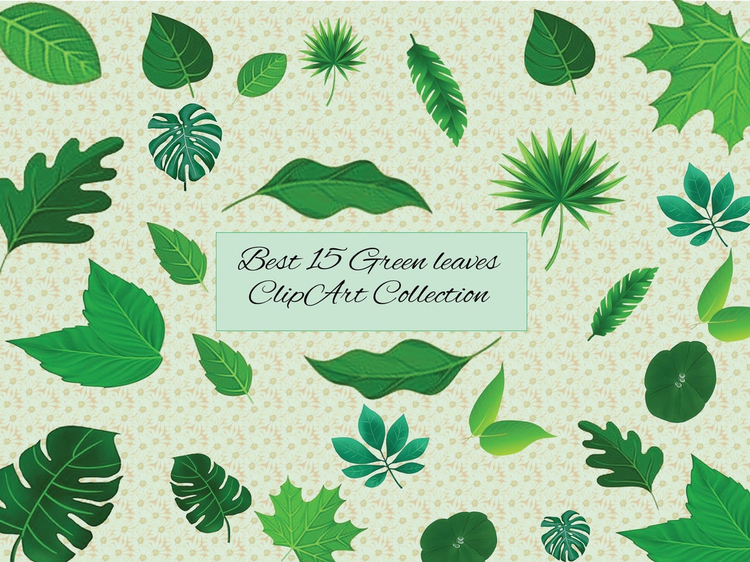 Green Leaf PNG Clip Art Greenery Clipart Digital Download - Etsy