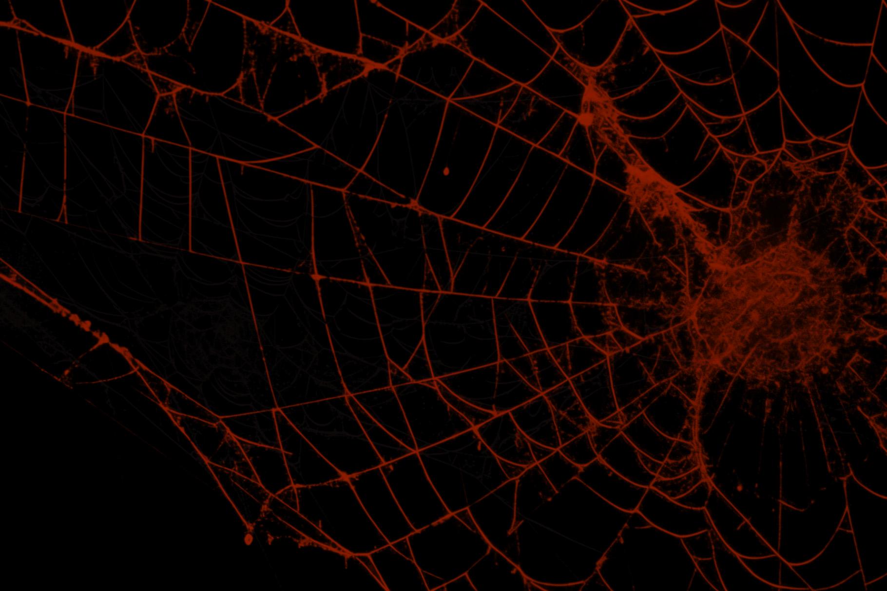 200 Spider Web Photoshop Brushes: Realistic Cobweb Brush Bundle - Etsy