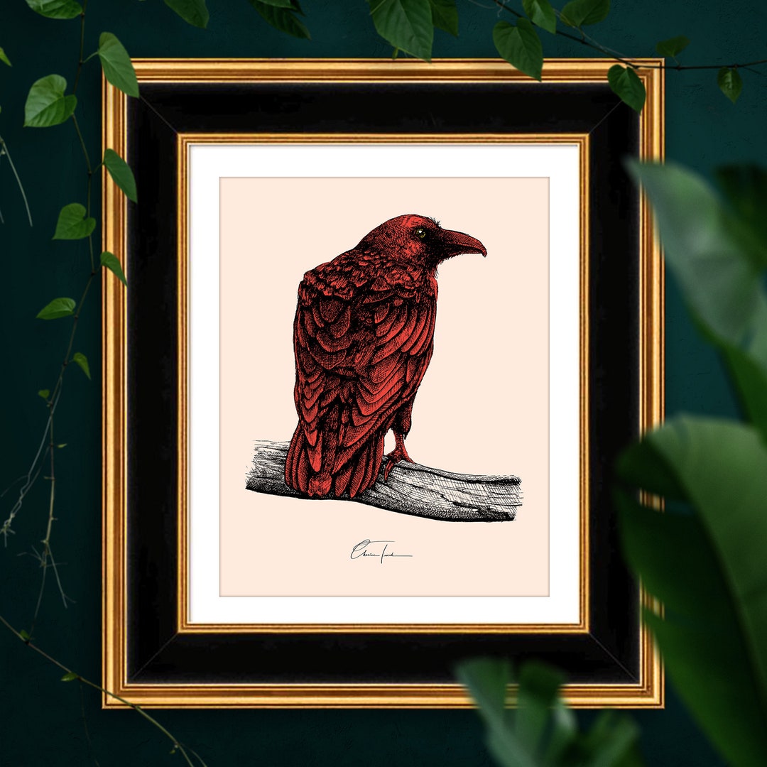 Framed Fine Art Print 'red Raven' Dark Art Pen & Ink Macabre Gothic ...