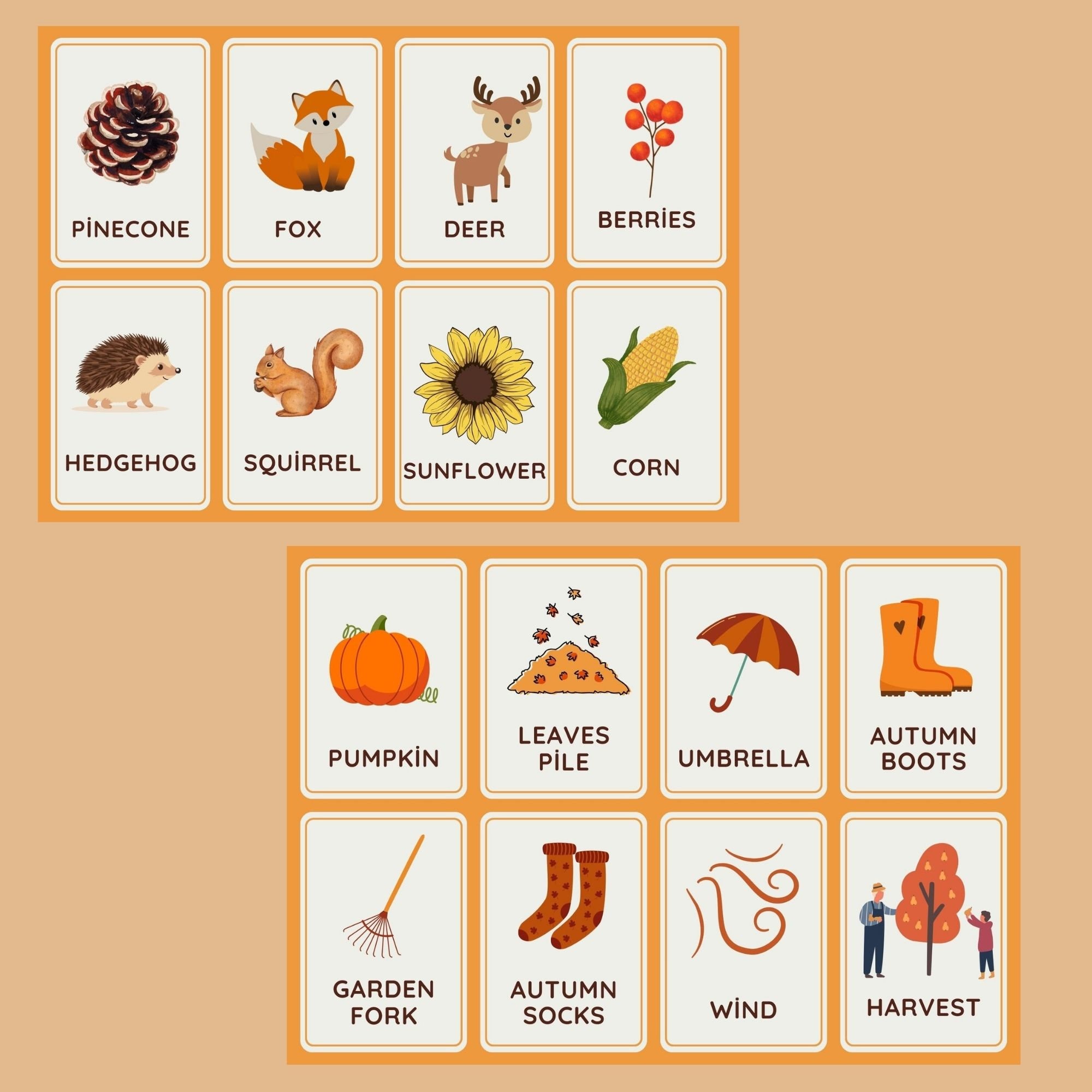 24 Autumn Flashcards Fall Flashcards Montessori Materials - Etsy