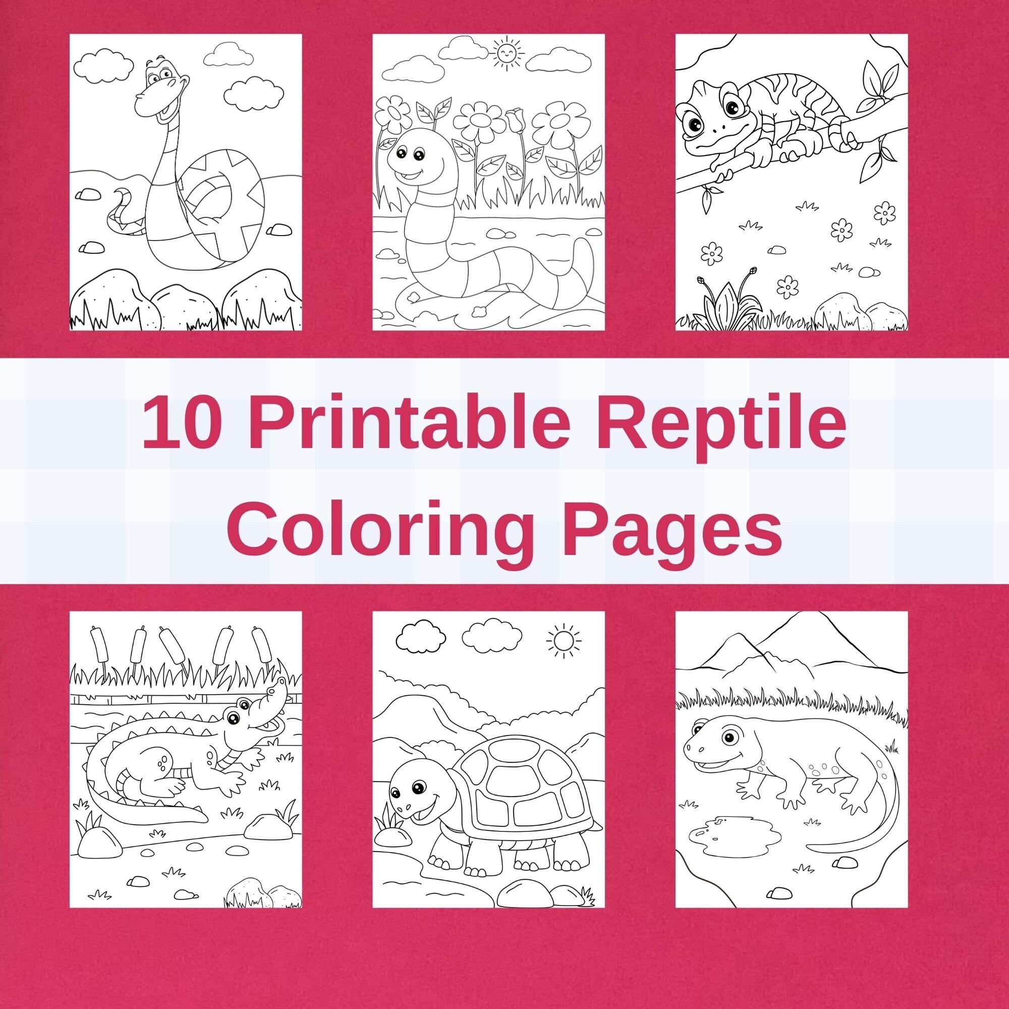 10 páginas imprimibles para colorear de reptiles imprimibles - Etsy México