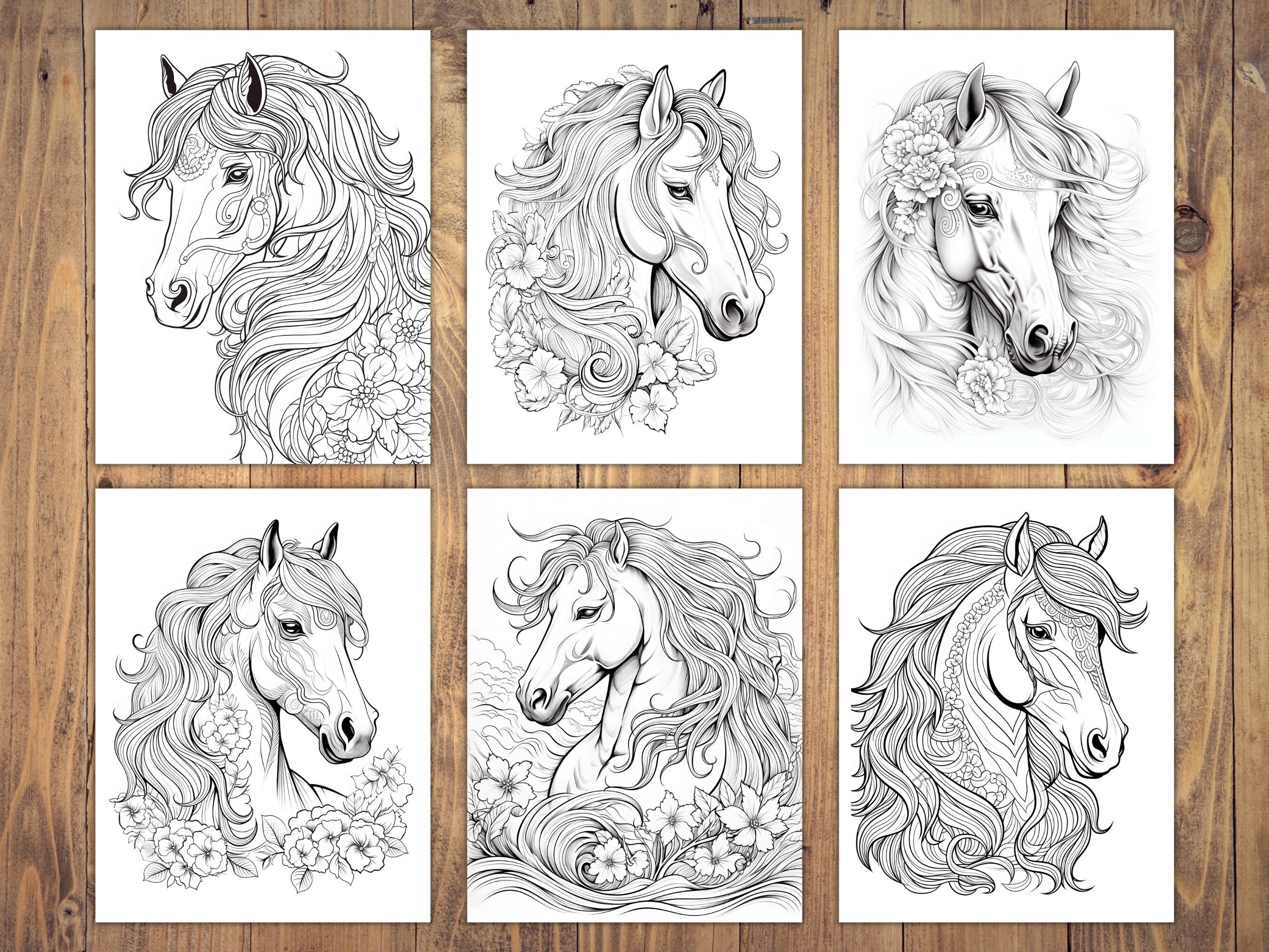 30 Printable Horse Coloring Pages, Horse Coloring Bundle, Coloring Book ...