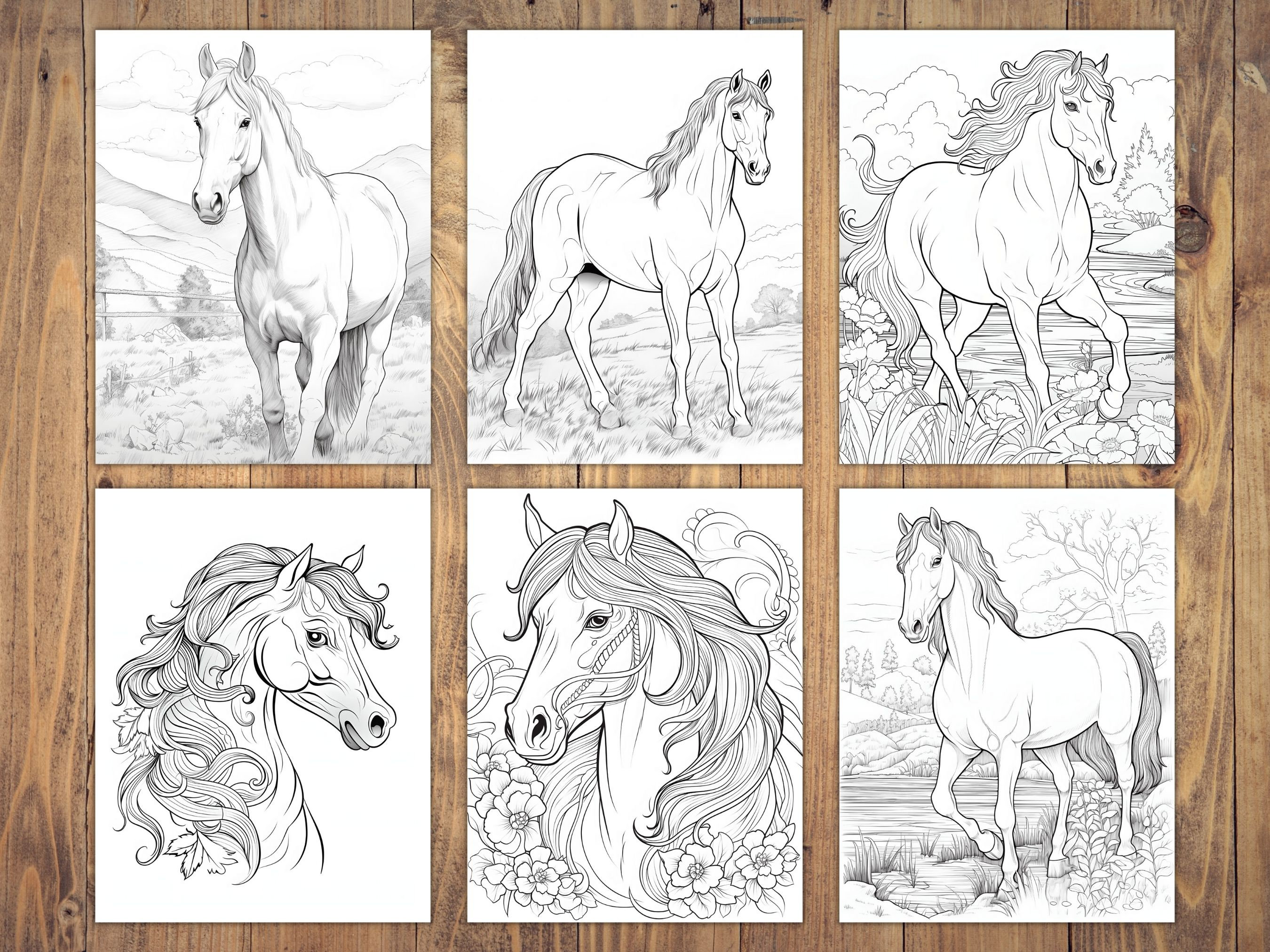 30 Printable Horse Coloring Pages, Horse Coloring Bundle, Coloring Book ...