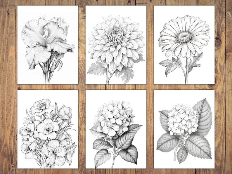 30 Flower Coloring Pages, Grayscale Floral Art, Adults and Kids (PDF ...