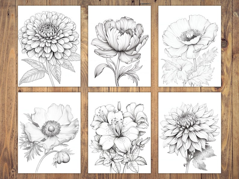 30 Flower Coloring Pages, Grayscale Floral Art, Adults and Kids (PDF ...