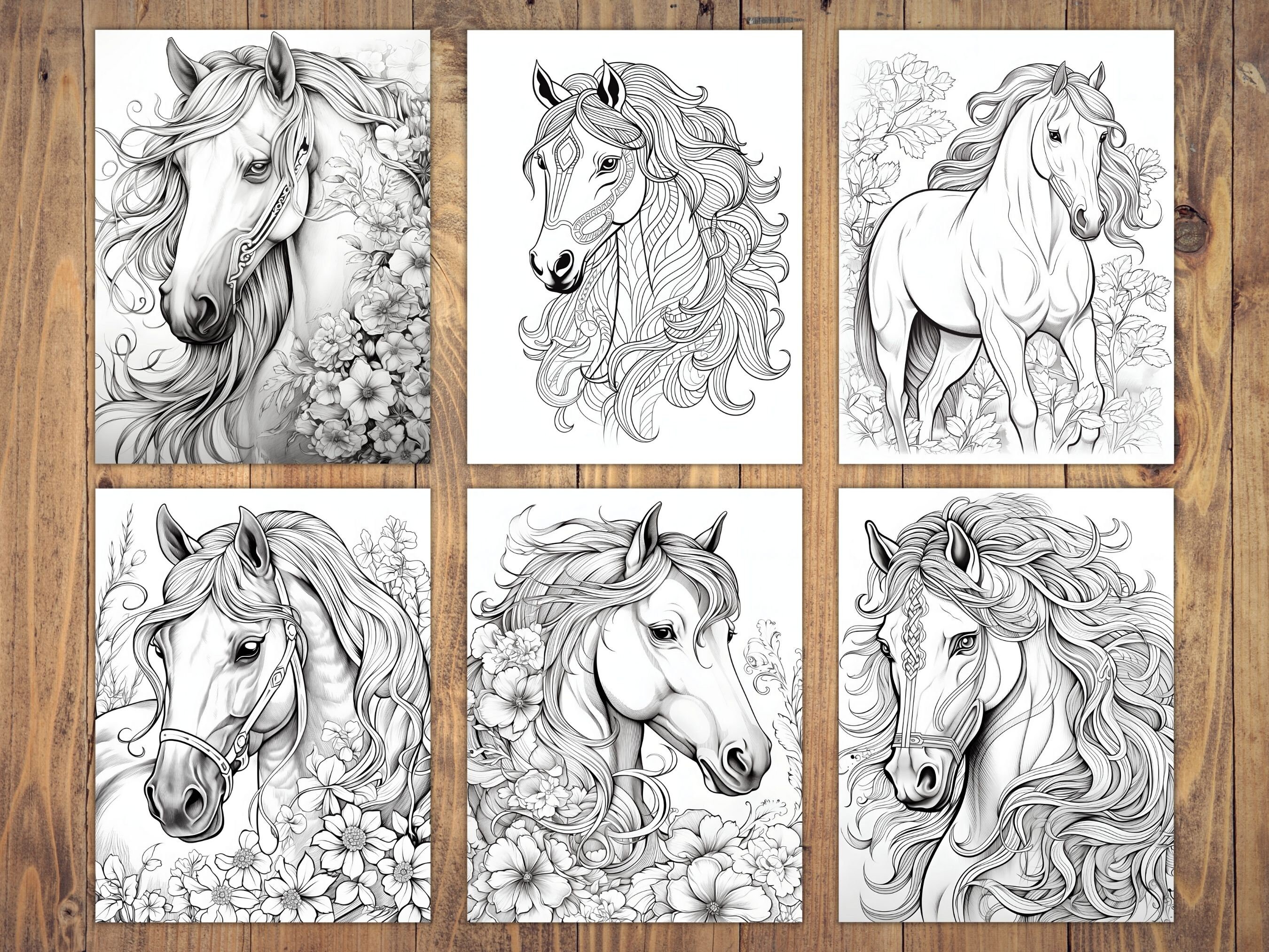 30 Printable Horse Coloring Pages, Horse Coloring Bundle, Coloring Book ...