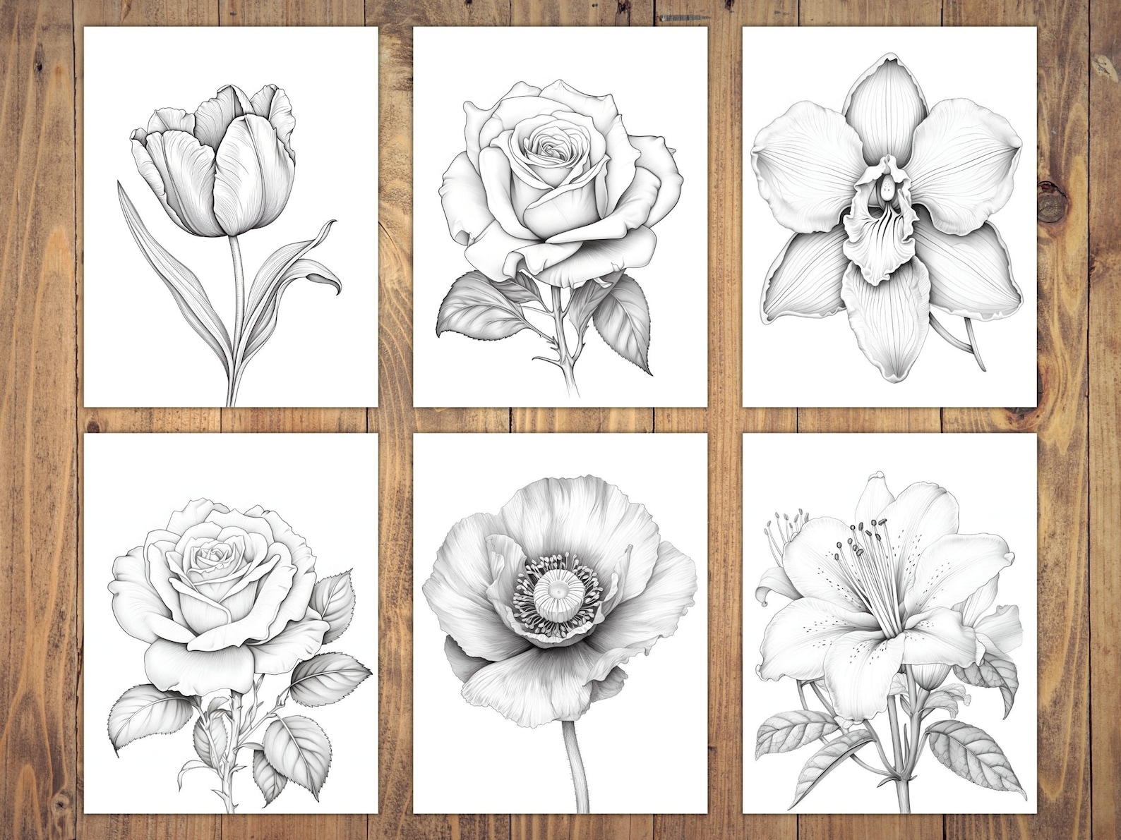 30 Flower Coloring Pages, Grayscale Floral Art, Adults and Kids (PDF ...
