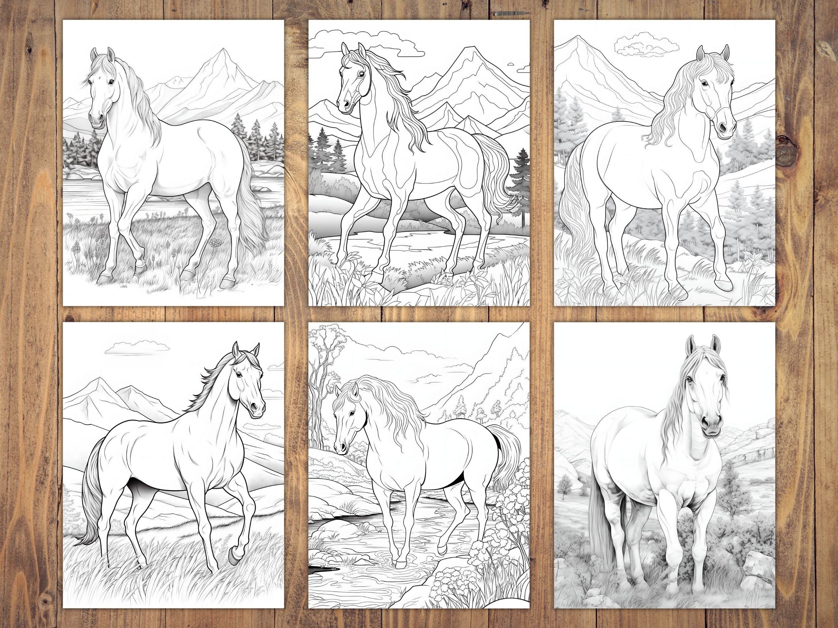 30 Printable Horse Coloring Pages, Horse Coloring Bundle, Coloring Book ...