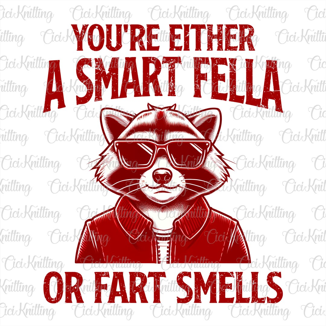 You're Either A Smart Fella or Fart Smells Png, Funny Raccoon Meme Png ...