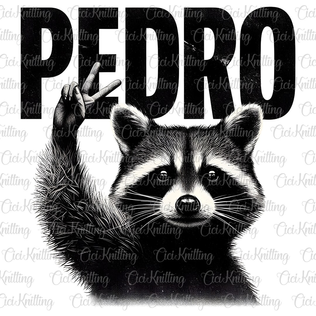 Pedro Pedro Dancing Raccoon Png T Shirt Pedro Racoon Meme, Pedro ...