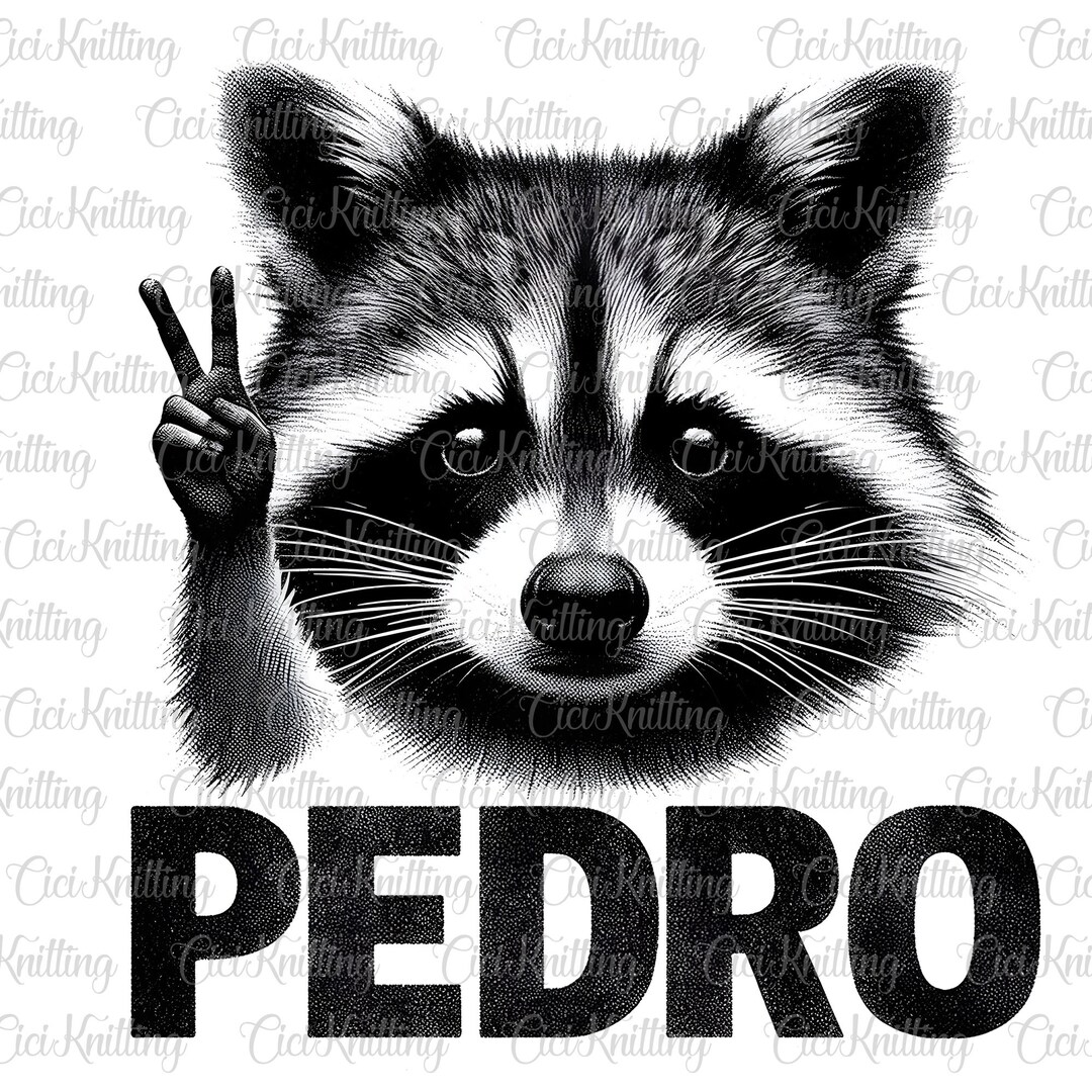 Pedro Pedro Dancing Raccoon Png T Shirt Pedro Racoon Meme, Pedro T ...