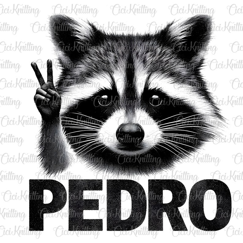 Pedro Pedro Dancing Raccoon Png T Shirt Pedro Racoon Meme, Pedro T ...