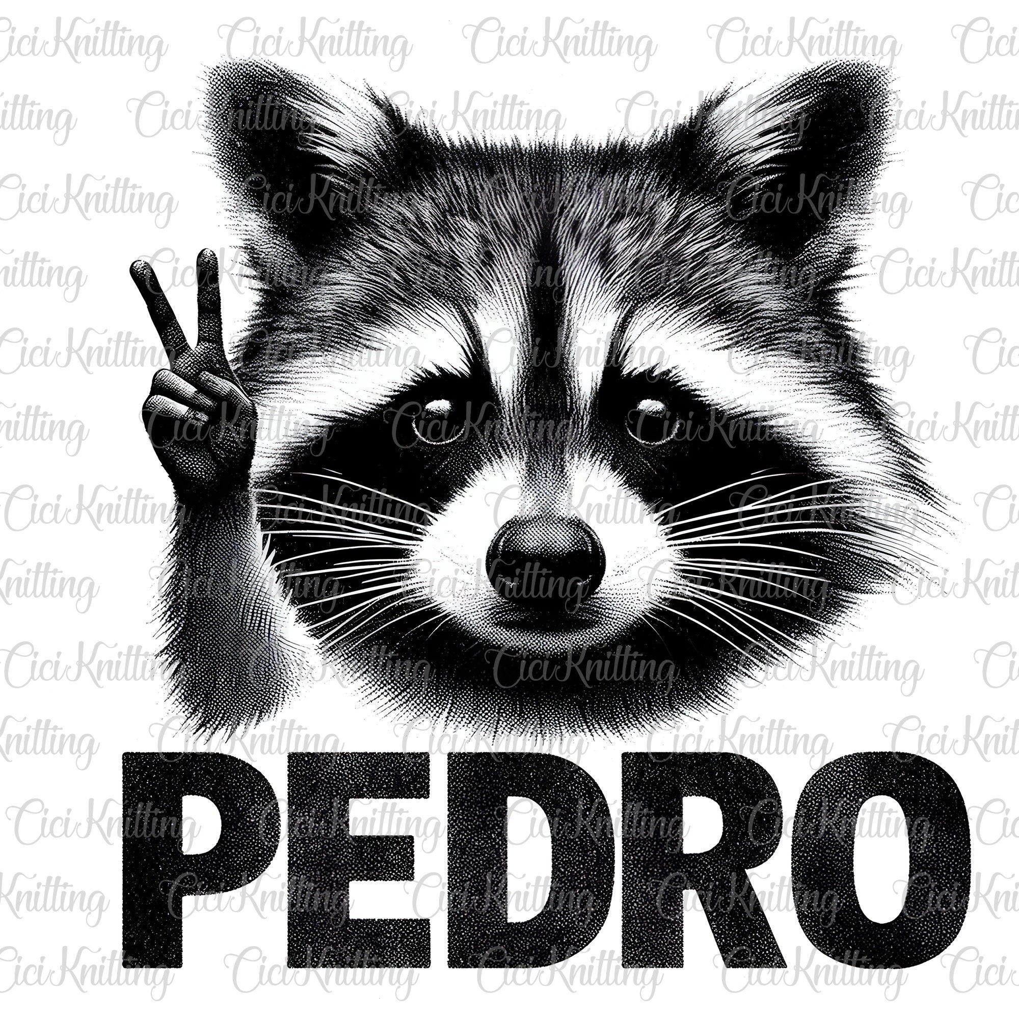Pedro Pedro Dancing Raccoon Png T Shirt Pedro Racoon Meme, Pedro T ...
