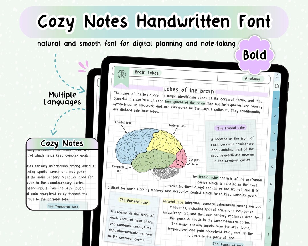 Bold Cozy Handwritten Font for Digital Planner and Student Note Taking ...