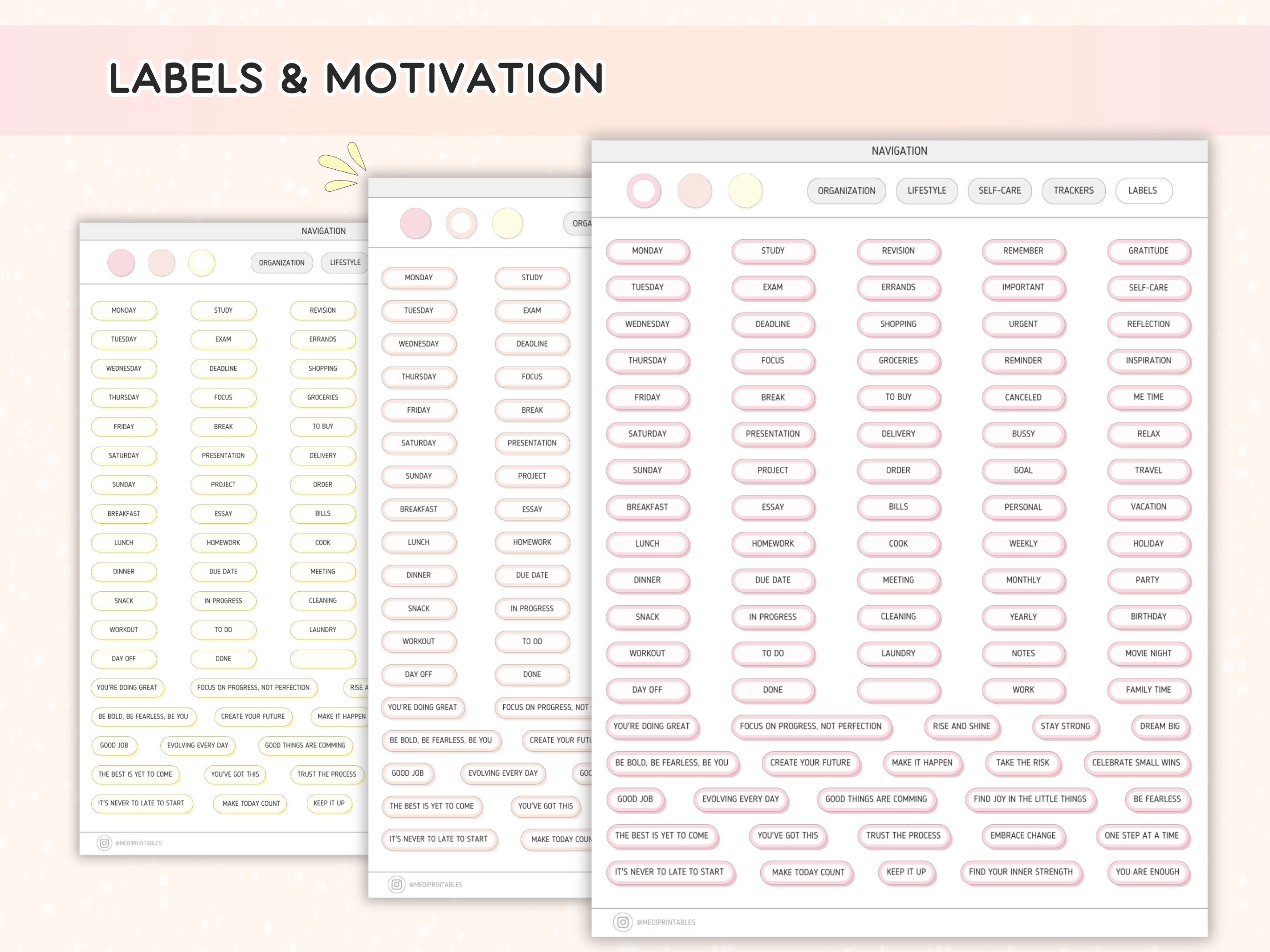 Everyday Essential Digital Stickers V2 Widget Stickers for Planner ...
