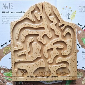 Sensory Play Tray: Ant Hill Maze - Etsy